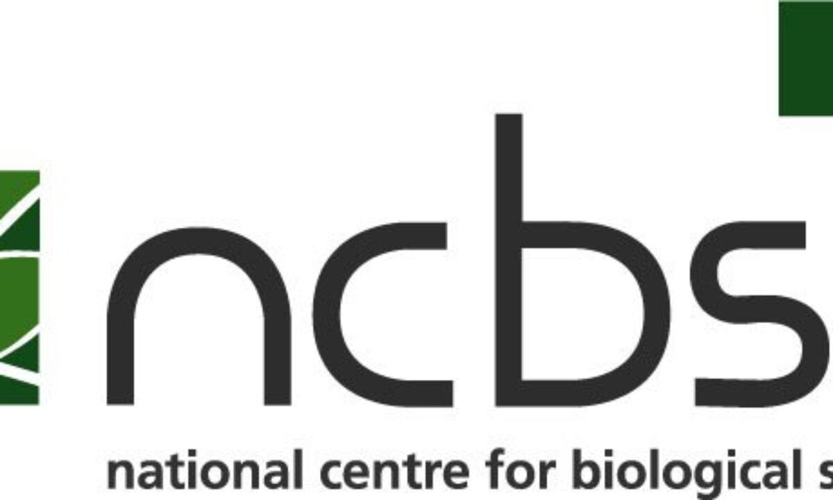 Ncbs Logo